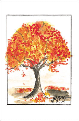 Sugar Maple Tree Drawing
